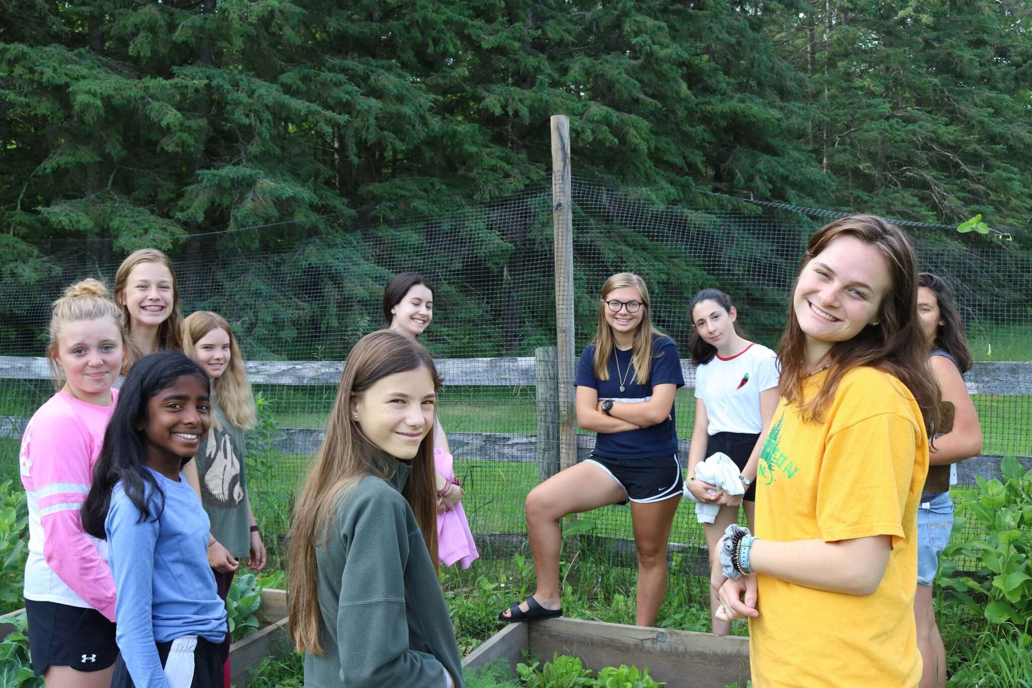 The Camp Progression – CAMP OLSON YMCA